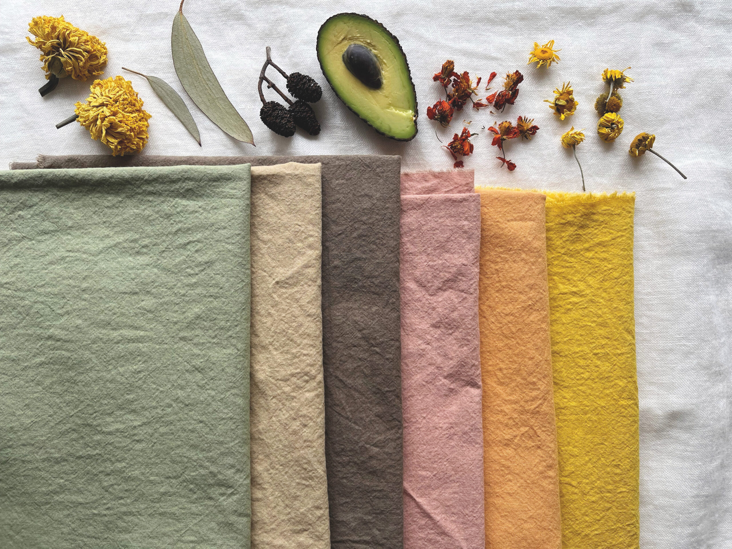 Wild colour: making natural dyes from plants - Gather Magazine